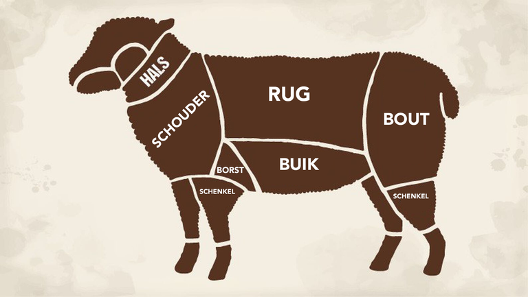 Vleesgids voor varkensvlees en rundvlees | ZWILLING.COM
