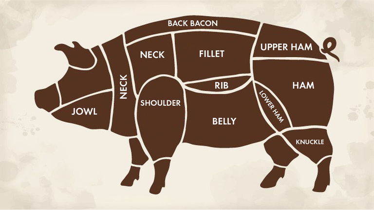 Meat science for pork & beef | ZWILLING.COM