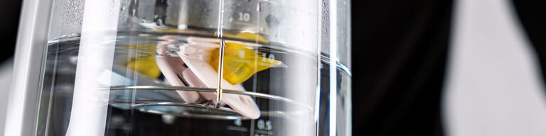 Sterilizing pacifiers made easy | ZWILLING.CA