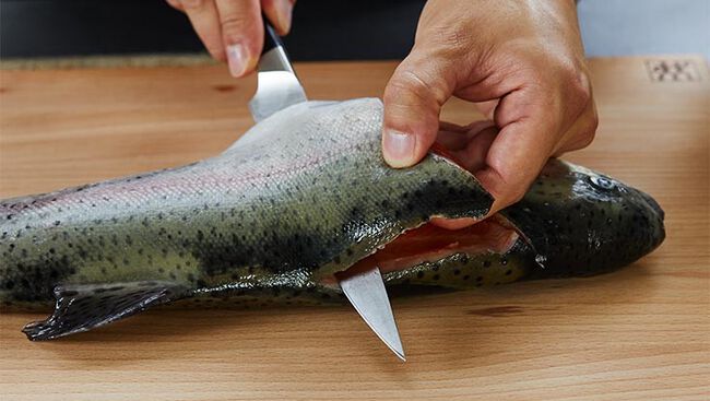 Fileter le poisson | Instructions | ZWILLING.COM