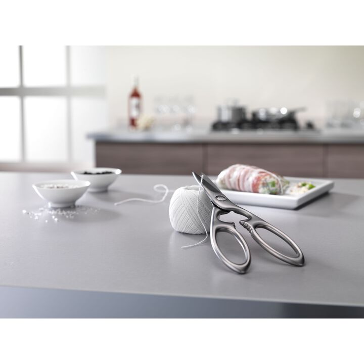 Buy ZWILLING Shears & Scissors Multi-purpose shears | ZWILLING.COM