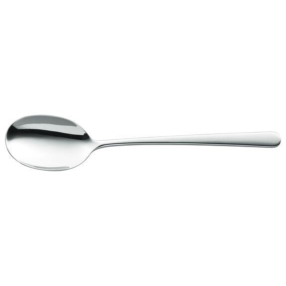 Buy ZWILLING Nova Serving spoon | ZWILLING.COM
