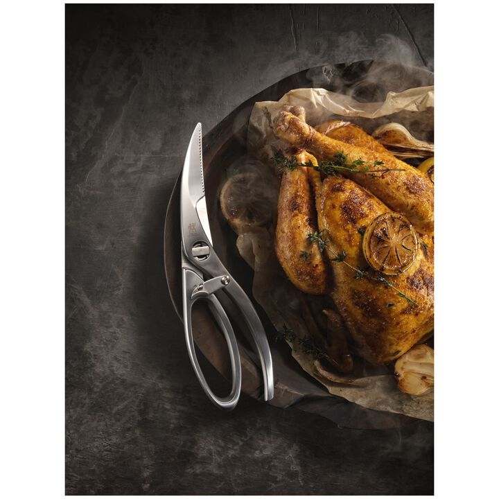 Buy ZWILLING Shears & Scissors Poultry shear | ZWILLING.COM