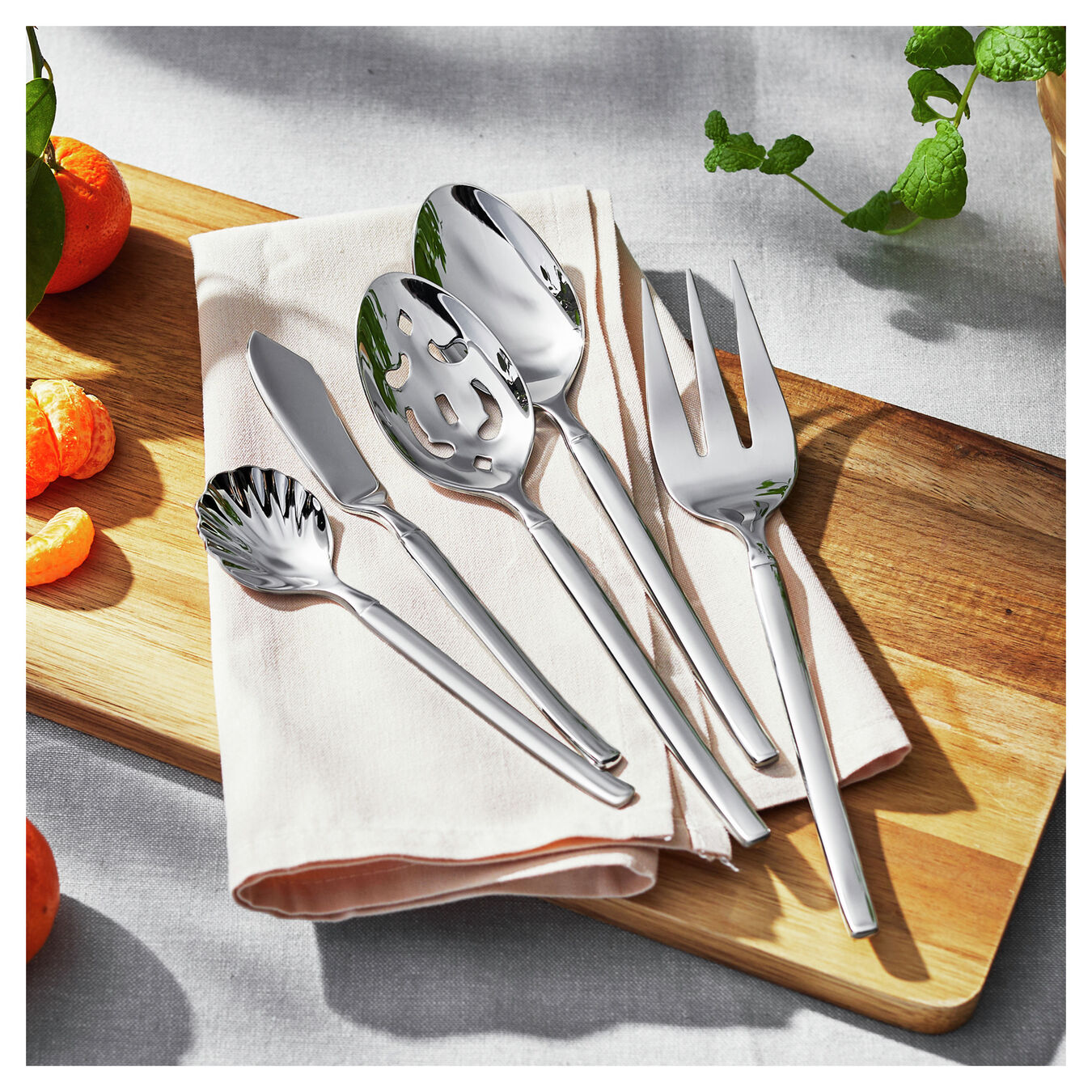 Buy ZWILLING Opus (polished) Menu set | ZWILLING.COM