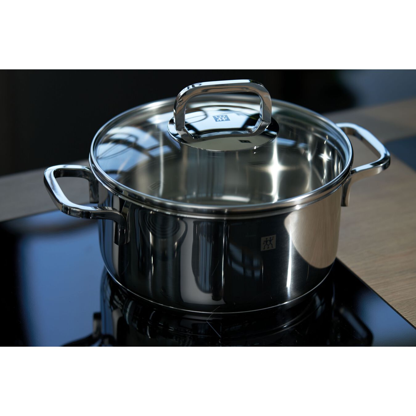 Buy ZWILLING Quadro Pot set | ZWILLING.COM