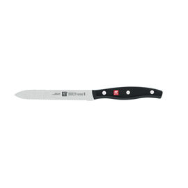 ZWILLING TWIN Signature Knives