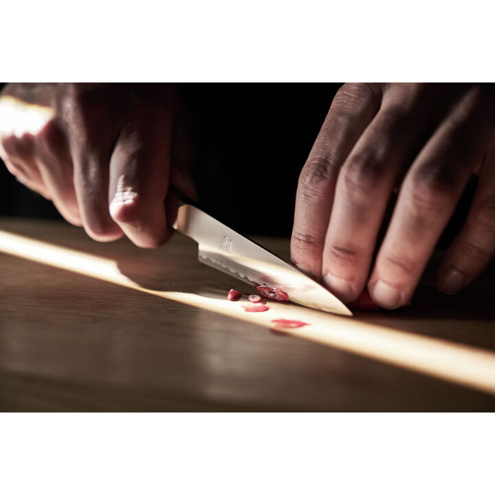 Buy MIYABI KOYA 4000FCv2 Kudamono | ZWILLING.COM