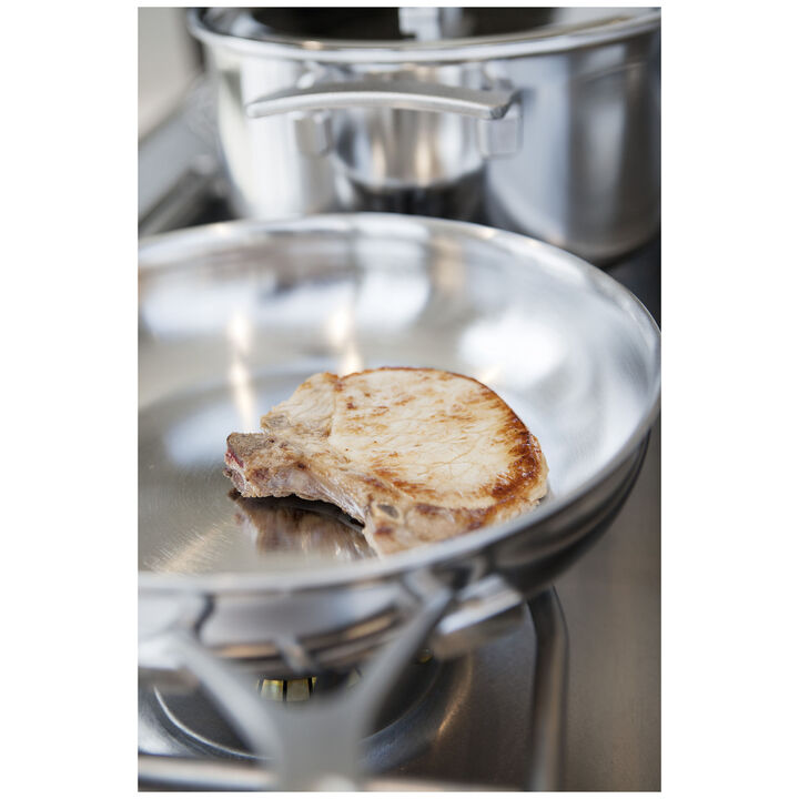 Buy Demeyere Industry 5 Frying pan | ZWILLING.COM