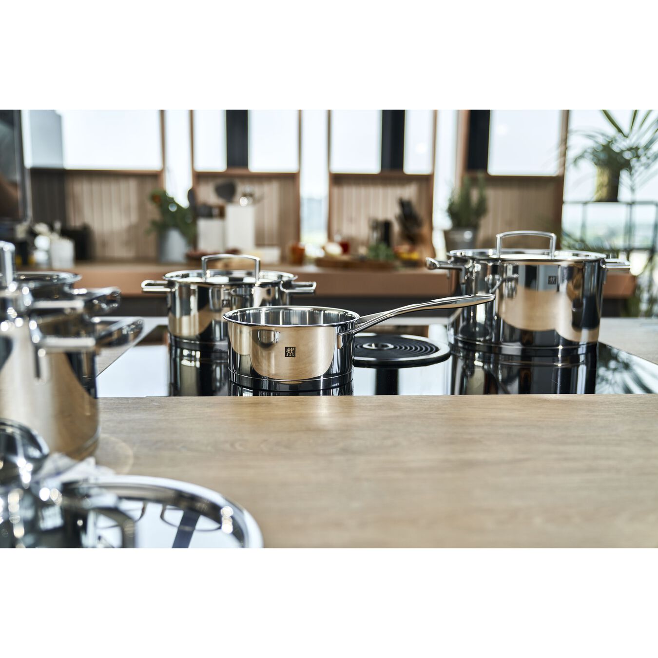 Buy ZWILLING Passion Pot set | ZWILLING.COM