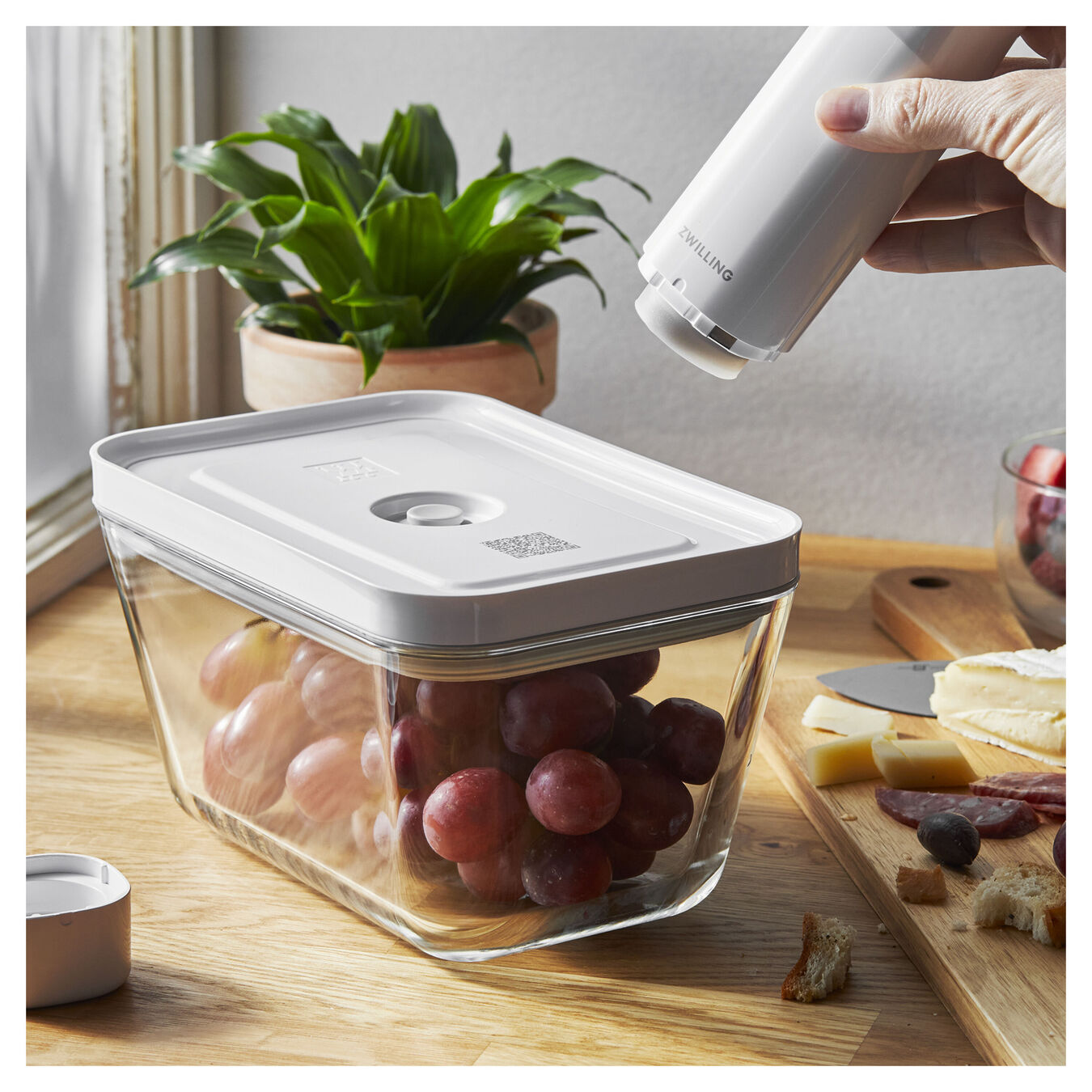 Buy ZWILLING Fresh & Save Vacuum starter set | ZWILLING.COM
