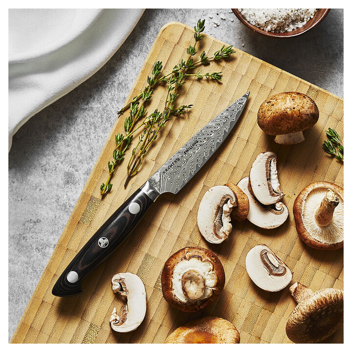 Buy ZWILLING KRAMER Euro Stainless Paring knife | ZWILLING.COM