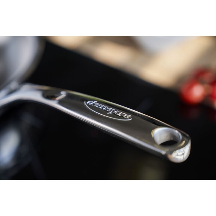 Buy Demeyere Atlantis Frying pan | ZWILLING.COM