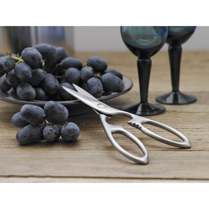 Buy ZWILLING Shears & Scissors Multi-purpose shears | ZWILLING.COM