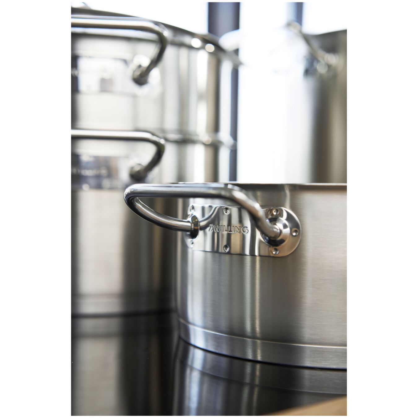 Buy ZWILLING Pro Stew pot | ZWILLING.COM