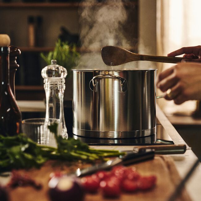 DEMEYERE - Pioneer for Induction | ZWILLING.COM