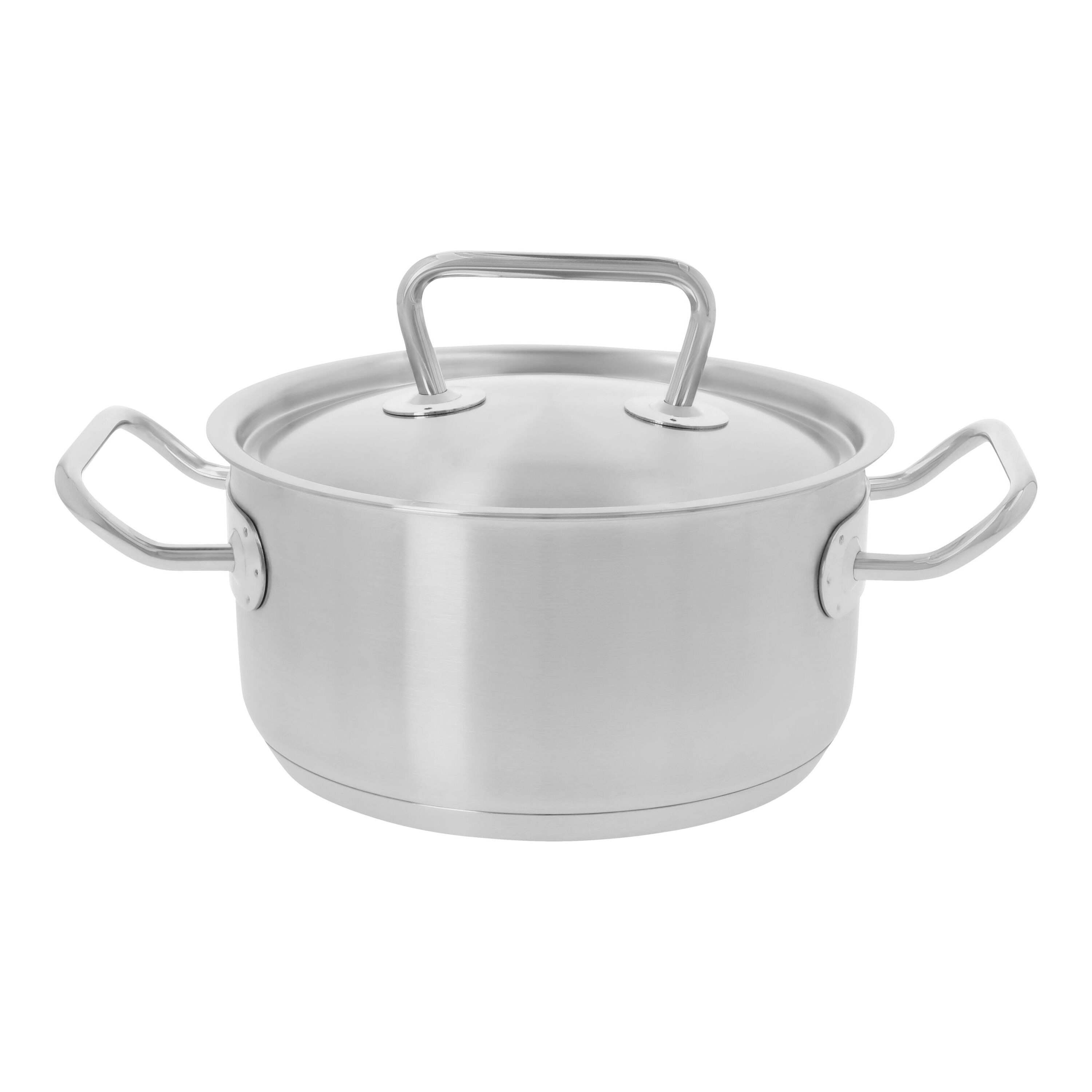 Demeyere Classic Pro 3 Kookpot met deksel kopen | ZWILLING Group