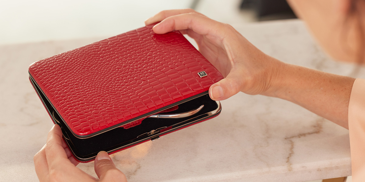 Buy ZWILLING CLASSIC Frame case | ZWILLING.COM